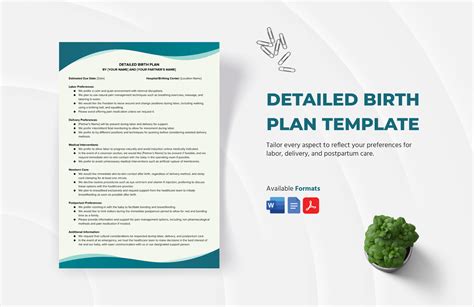 Free Birth Plan Templates Editable And Printable