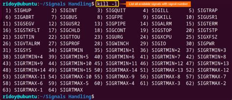 Bash Signals Handling LinuxSimply