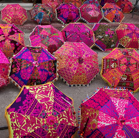 A Photo a Day from Planet Earth: Ambrella