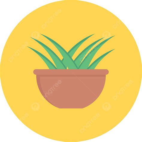 Plant Vector Stem Design Vector Vector Stem Design PNG And Vector With Transparent Background