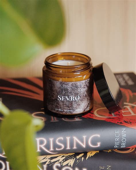 Sevro Bookish Candle Book Merch T For Reader Inspired By