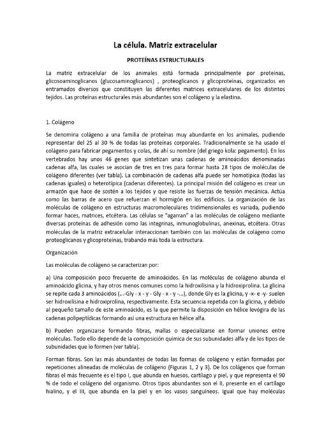 La Célula Matriz Extracelular Pdf