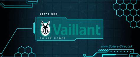 Vaillant Boiler Error Codes Quickly Identify Known Faults
