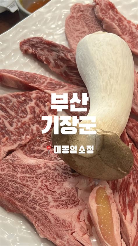 두잇부산 👉🏻 부산 맛집 추천 나야 물총조개 칼국수 주기적으로 칼국수 국물 수혈해야하는 사람 저요 엄~청 매운김치랑 칼국수 한 입 먹으면 너무 맛있어서