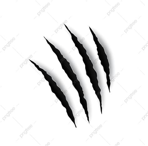 야수 발톱 긁힌 자국 Rip 검은 짐승 Png 일러스트 및 벡터 에 대한 무료 다운로드 Pngtree