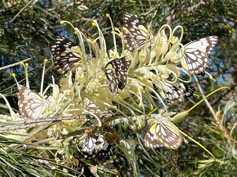 The Forgiveness Chronicles My Journey Toward Self Forgiveness By Moze Musings Medium