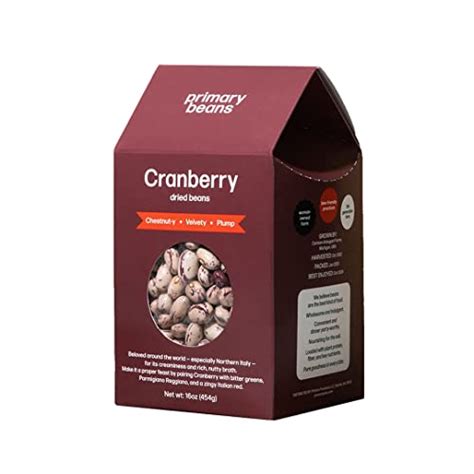 7 Best Borlotti Beans Substitutes Bean Bliss Superb Salt