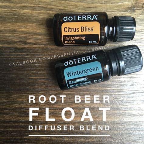 Rootbeer Float Diffuser Blend — Catherine Kayse