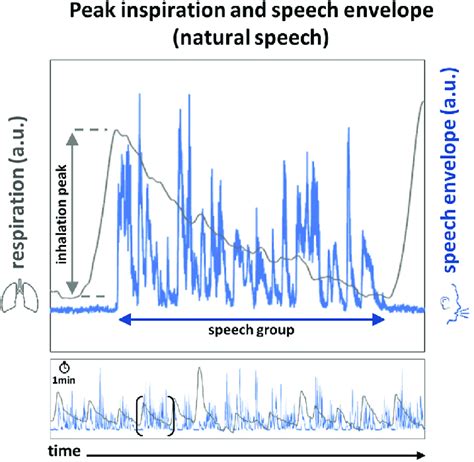 Relationship Between Peak Inhalation And Subsequent Speech Envelope