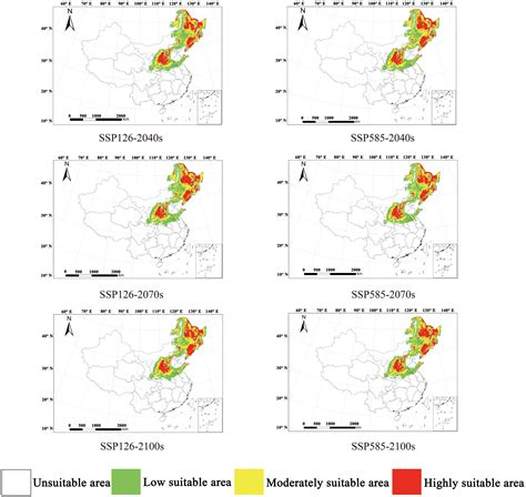 Frontiers Predicting Potential Distributions Of Monochamus Saltuarius