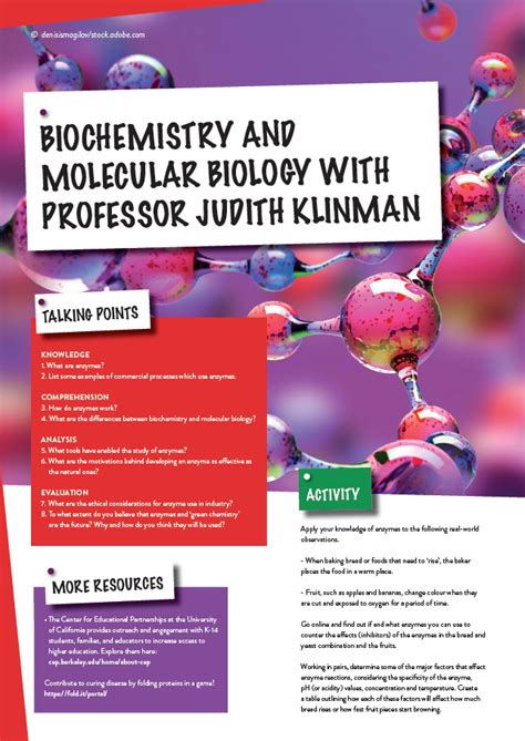 How Do Enzymes Speed Up Chemical Reactions Futurum