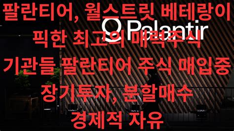 팔란티어 월 스트릿 베테랑도 선택한 최고의 매력주식 ㅣ기관들 팔란티어 주식 매수중 ㅣ경제적 자유 ㅣ장기투자 ㅣ Youtube