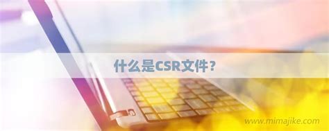 什么是CSR文件 密码极客