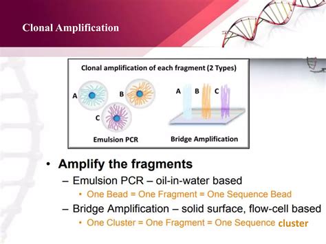 Next Generation Sequencing Technologies For Crop Improvement Pptx