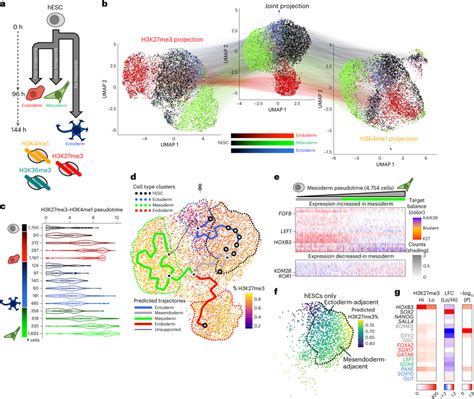 multi tag profiling of continuous developmental trajectories a