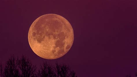 How The Full Harvest Moon In Pisces Will Impact You Astrologically Allure