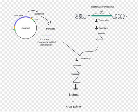 Document Line Angle Design Angle Text Number Png Pngwing