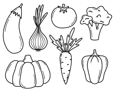 Vegetable Outline Drawing Vector Art Icons And Graphics For Free Download
