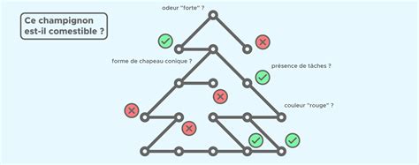 ¿cómo funciona el algoritmo random forest haras dadinco