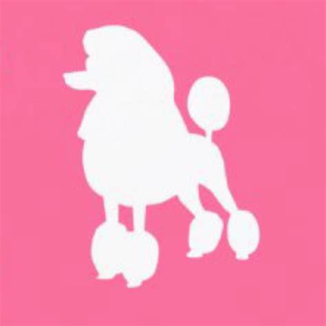 Vote Pink Poodle Rva 2025 Richmond The Best