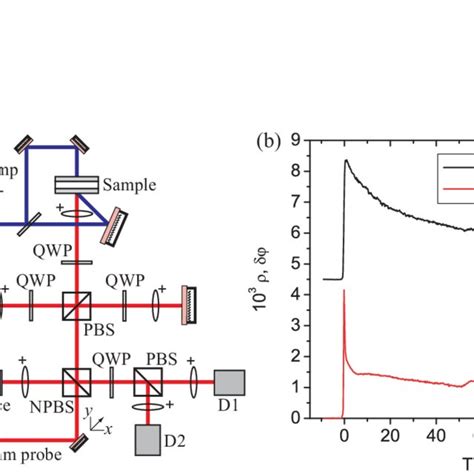 A Sketch Of The Interferometric Pump Probe Setup Npbs Download Scientific Diagram