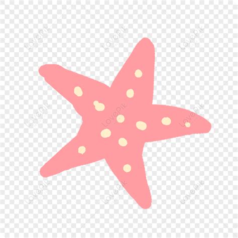 불가사리 Png 일러스트 무료 다운로드 Lovepik