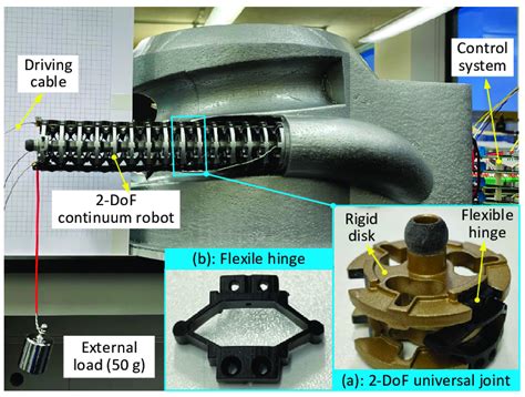 Experimental Setup For Validating The Model For A Continuum Arm A