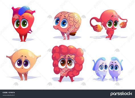 مجموعه ایزوله شخصیت های کارتونی اعضای بدن انسان 1576574