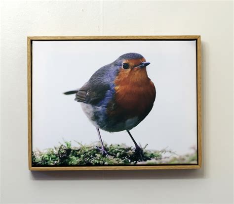 Natures Photo Frames Floating Frames