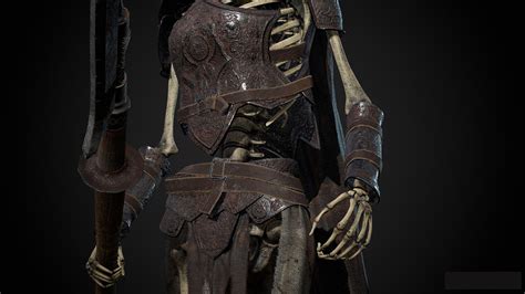 Skeleton Guard Modular