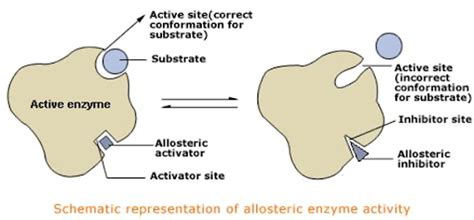 Why Allosteric Drugs Represent A Unique Small Molecule Approach