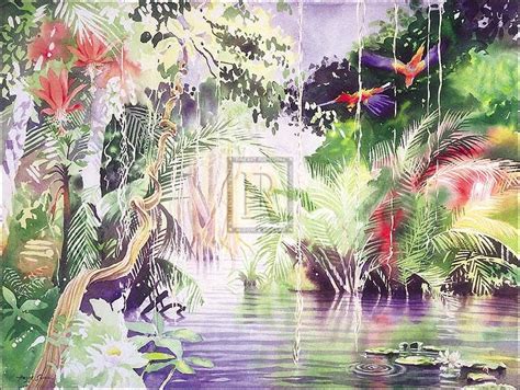 Rainforest Watercolor At Explore Collection Of