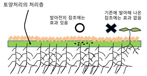 제초제의 종류토양처리형 네이버 블로그
