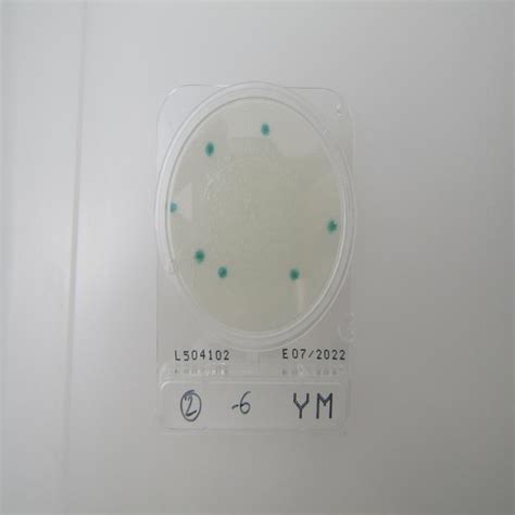 Lempa Instance Segmentation Dataset By Aivancity