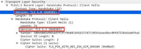 Wireshark Why TLS Version Is Different In Record Layer And Handshake Protocol AnalysisMan