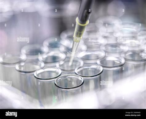 Various Pharmaceutical Research Scientist Pipetting Sample Into A Test Tube During An