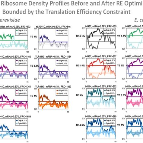 Saccharomyces Cerevisiae And E Coli Fgm Algorithm Ribosomal Density Download Scientific