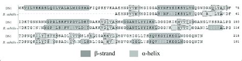 Results Of Amino Acid Sequence Alignment Lipase Gene Isolates Ds1 With
