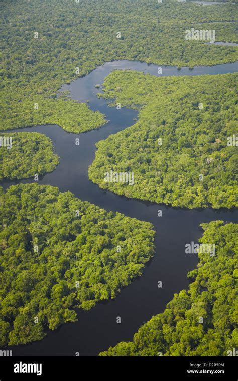 Is Manaus In The Amazon Rainforest At Manuel Hatchett Blog
