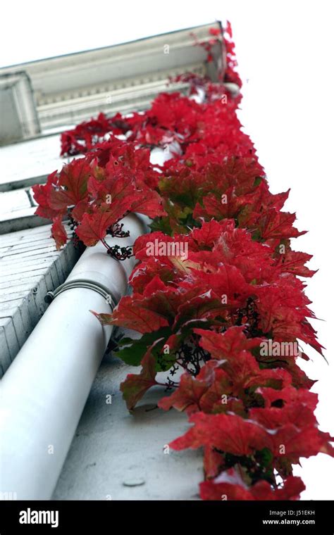 Worms Eye Facade Style Of Construction Architecture Architectural Style