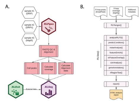 Rlsuite An Integrative R Loop Bioinformatics Framework