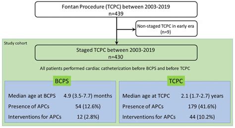 Flow Diagram Showing Patient Enrolment And Profile Age At Bcps And Download Scientific Diagram