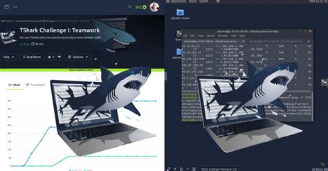 Djalil Ayed On Linkedin Tryhackme Tshark Ctf Soc Blueteam