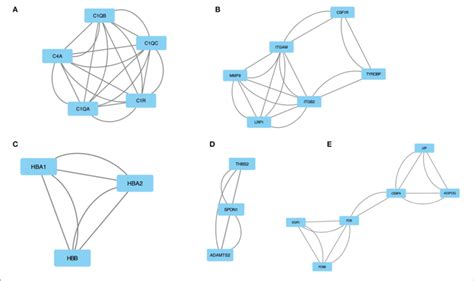 The Module Identified From The Ppi Network Using The Mcode Method Is Download Scientific