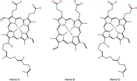 Mega Mover Empire HEMOGLOBIN AND RED BLOOD CELLS