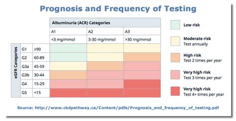 Calculate Gfr Mdrd Equations Tessshebaylo
