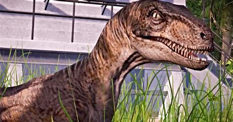 Jurassic World Evolution Dlc Trailer Returns To The Original Jurassic Park