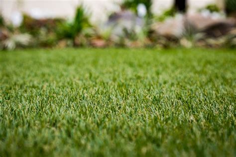 Artificial Grass Complete Flooring