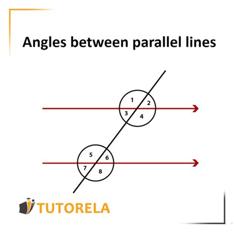 Types Of Angles Tutorela