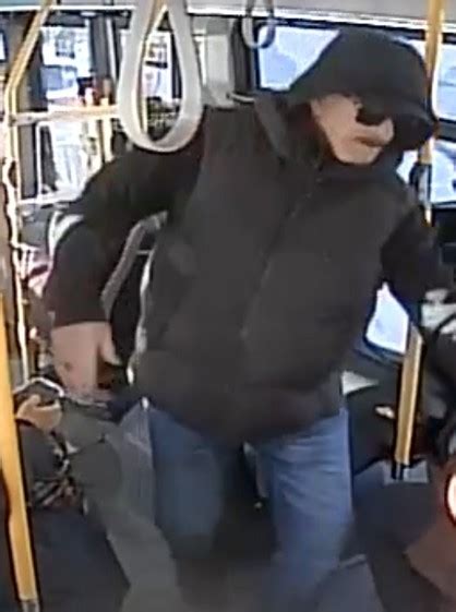 Suspect Sought In Alleged Sex Assault On Ttc Bus